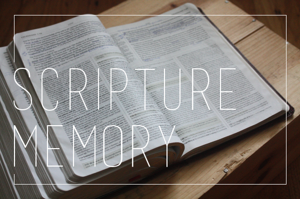 AIM Church Monthly Memory Scripture - Psalm 119:11